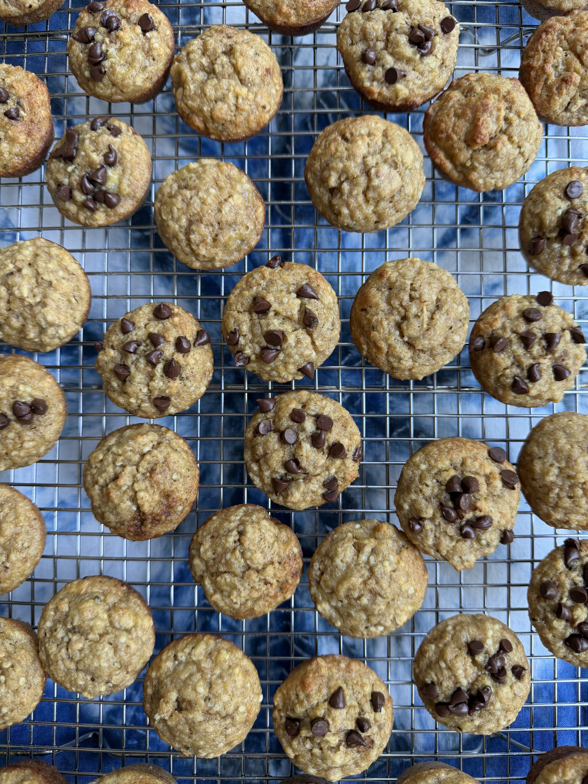 Higher Fiber Mini Banana Muffins - Happy Kids Kitchen by Heather Wish ...
